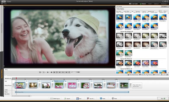 Nero Platinum Suite 2026 Review: Features, Pros&Cons, Ratings